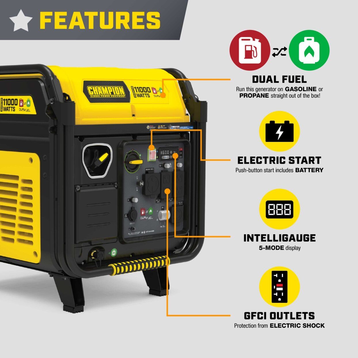 11,000W Electric Start Dual Fuel Inverter Generator with CO Shield ...